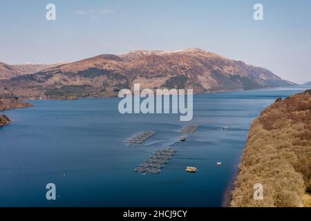 Aquaculture Fish Farm Pens Used to Keep Farmed Fish Stock Photo - Alamy