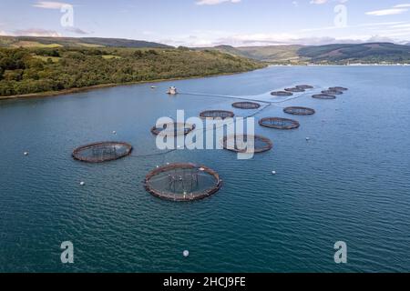 Aquaculture Fish Farm Pens Used to Keep Farmed Fish Stock Photo - Alamy