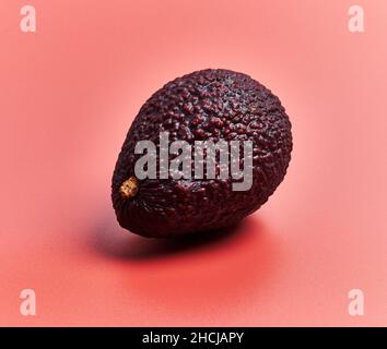 SIngle avocado fruit over red background Stock Photo - Alamy