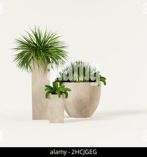 decorative flower in a pot isolated on white background, 3D ...
