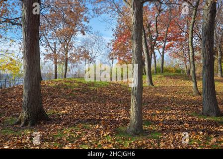 Native American burial mounds at Sinnissippi Mounds Historic Site on a ...