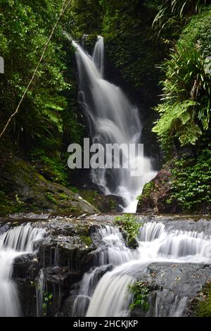 Elabana Falls, Lamington National Park Stock Photo - Alamy