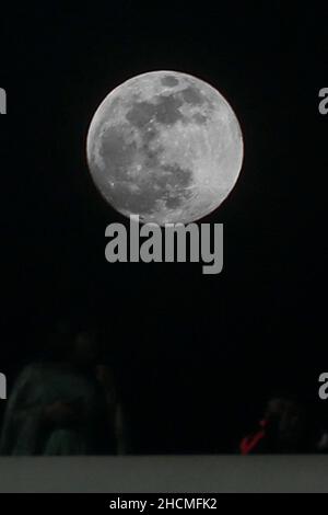 The field is now in the field of honey collection. Field after field is ...