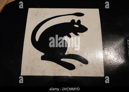 Desert Rat Symbol Stock Photo - Alamy