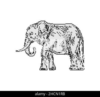 Elephant 8 Bit Pixel Art Animal Video Game Cartoon Stock Vector Image ...