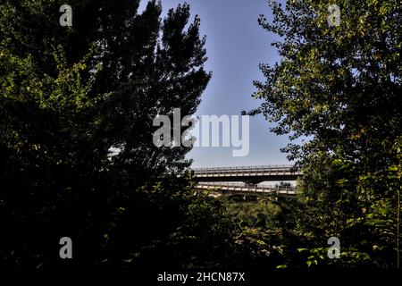 Small viaduct in the countryside framed by trees and a clear sky Stock ...