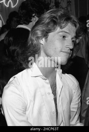 Andy Gibb Circa 1980's Credit: Ralph Dominguez/MediaPunch Stock Photo ...