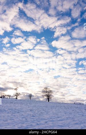 Altenberg: snow at field, trees, clouds, in Erzgebirge, Ore Mountains ...