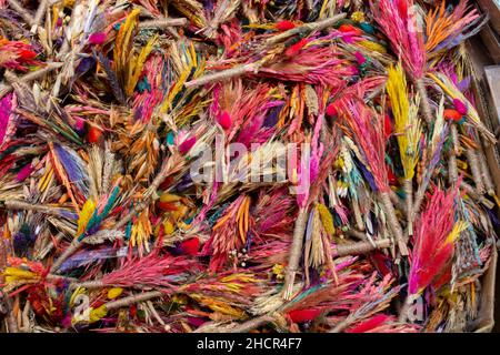 dyed dry colorful flower for doceration purposes Stock Photo - Alamy