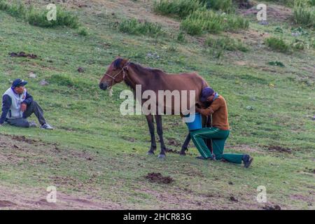 SONG KUL, KYRGYZSTAN - JULY 22, 2018: Mare milking in the mountains ...
