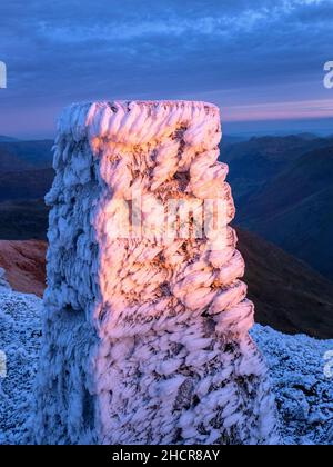 A pink sunrise glow on frost covered trees, Worcestershire, England ...