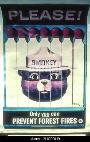 PREVENT FOREST FIRES American billboard about 1944 Stock Photo - Alamy