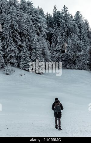 Foot path through deep snow to a hut in a snow-covered ravine Stock ...