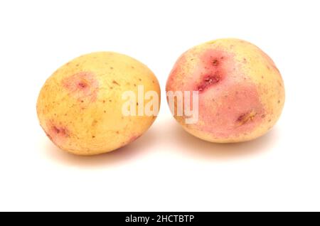 Small new potatoes with pink coloration isolated on white background ...