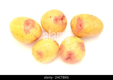 Small new potatoes with pink coloration isolated on white background ...