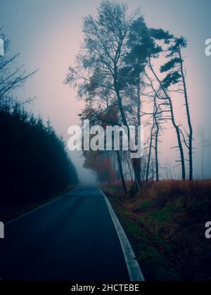 Asphalt road during foggy conditions, bad weather, fog, line, trees ...