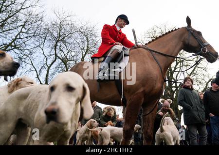 Hounds meet members of the public during the Tedworth Hunt's Boxing Day ...