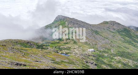 Mt. Washington, on top , Mountains. Edmund L. Mitchell Collection Stock ...