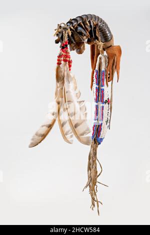 Dance rattle of the North American Indian horn with deer hooves and ...