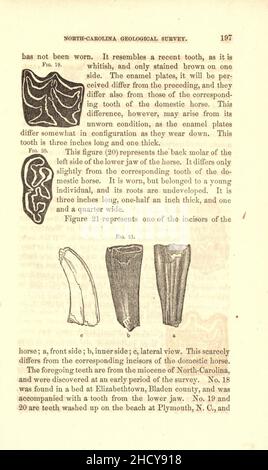 Report of the North Carolina geological survey (Page 267 Stock Photo ...
