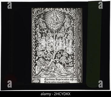 Reproduction of print showing Branch from the Rod of Jesse Stock Photo ...