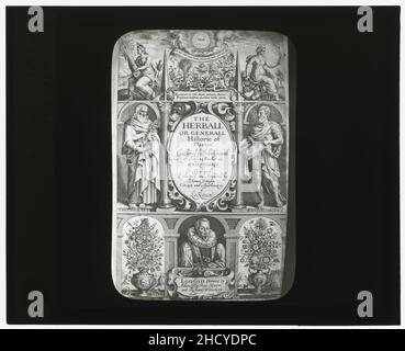 The herball, or, Generall historie of plantes (Page 1219 Stock Photo ...