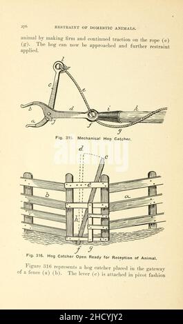 Restraint of domestic animals (Page 276) BHL20577751 Stock Photo - Alamy