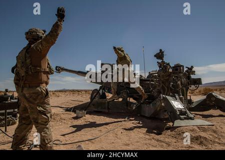 Soldiers of the 81st Stryker Brigade Combat Team stand in formation ...