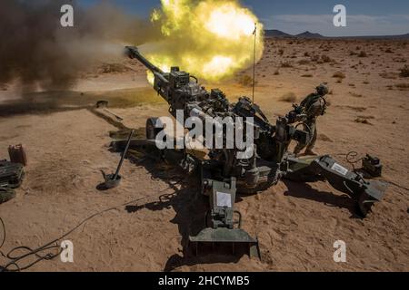 Soldiers of the 81st Stryker Brigade Combat Team stand in formation ...
