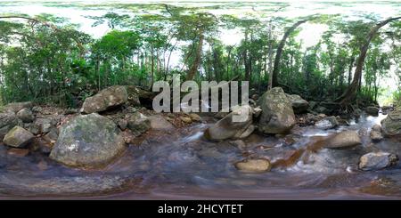 360° view of In a green rainforest - Alamy