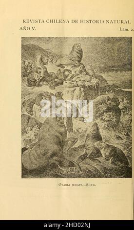 Revista Chilena de Historia Natural Stock Photo - Alamy