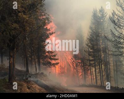 Rice Ridge Fire Stock Photo - Alamy