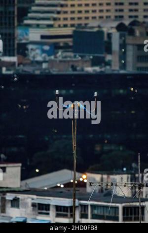 Caracas city center, Venezuela at night Stock Photo - Alamy