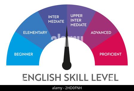 Skill level meter indicator. Business vector chat infographic ...