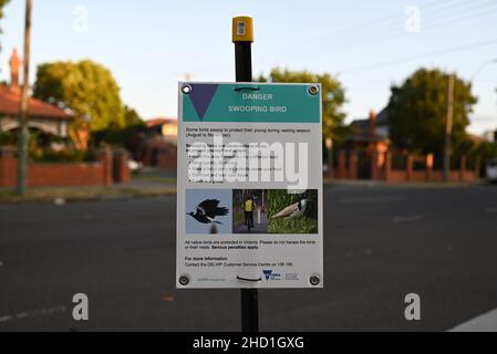 Bird swooping warning sign Stock Photo - Alamy