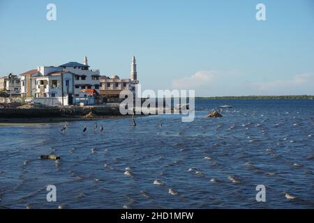 View form the harbour onto Masjid Madina Mosque, Lamu Stock Photo - Alamy
