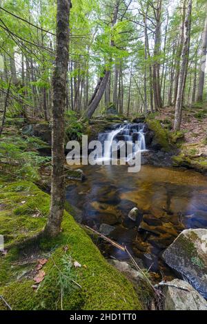 Cascade on Crooked Brook in North Woodstock, New Hampshire on a spring ...