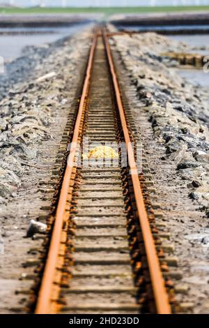 Railway tracks run over a dyke at the north sea Stock Photo - Alamy
