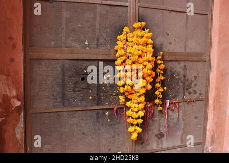Memories form mu travel in India Stock Photo - Alamy