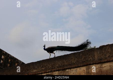Memories form mu travel in India Stock Photo - Alamy