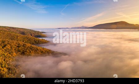 Beautiful view of massive fog covering trees Stock Photo - Alamy