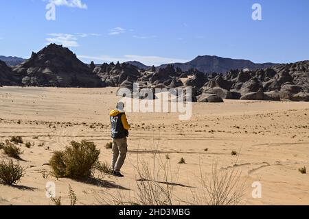 landscape, paysage during the Stage 8 of the Dakar 2026, on January 12 ...