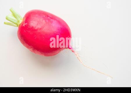 Red radish on a light grey background Stock Photo - Alamy