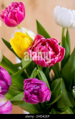 Red pink yellow tulips and gift box with red ribbon on a white painted ...