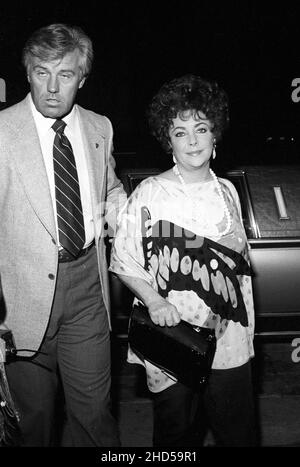 Elizabeth Taylor Circa 1980's Credit: Ralph Dominguez/MediaPunch Stock ...