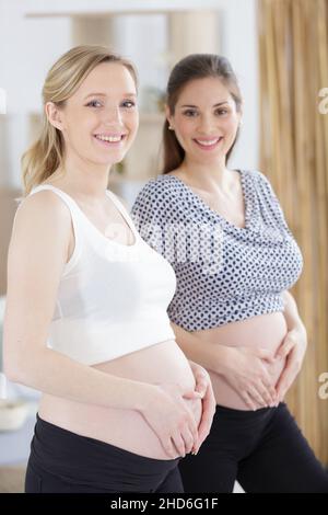 two pregnant women showing bellies turned to each other isolated on ...