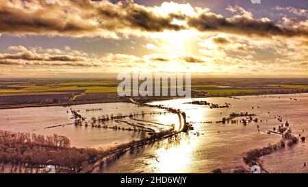 Welney, UK. 31st Dec, 2021. The Welney wash area is beginning to fill ...