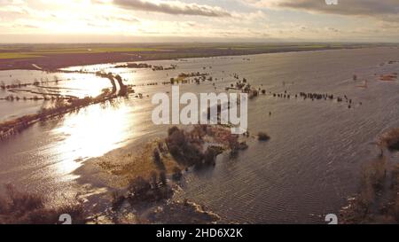 Welney, UK. 31st Dec, 2021. The Welney wash area is beginning to fill ...