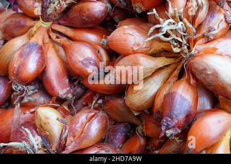Fresh pink shallots at a French farmers market Stock Photo - Alamy