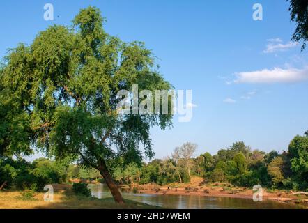 Evening along The Luvuvhu River in Northern Kruger, South Africa Stock ...